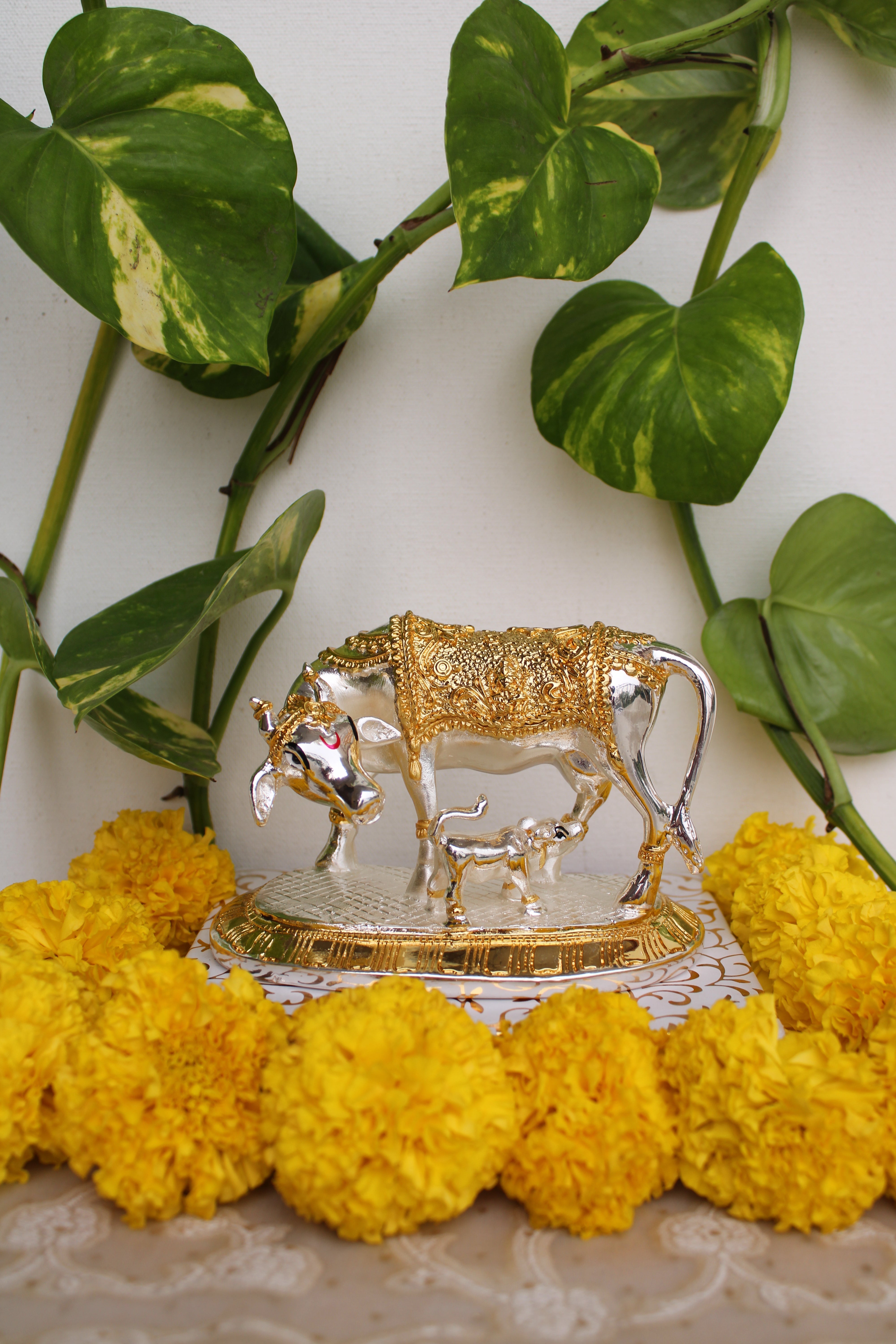 Kamdhenu Cow for Home: Meaning, Placement & Benefits – Veda Connection