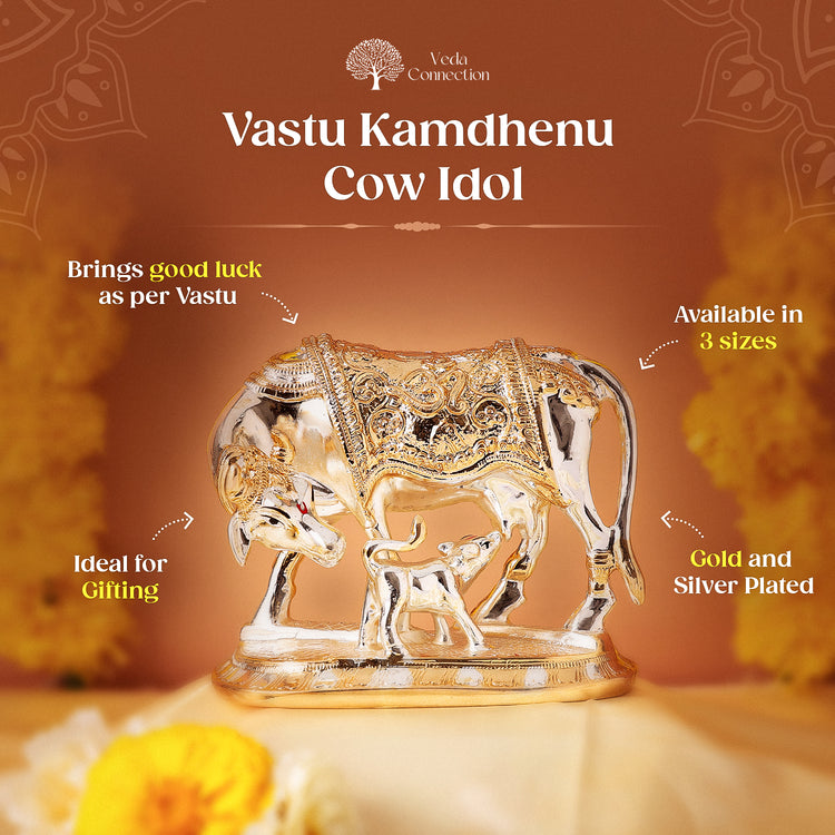 Gifts for Upanayanam Ceremony | Thread Ceremony Gift Ideas – Veda ...